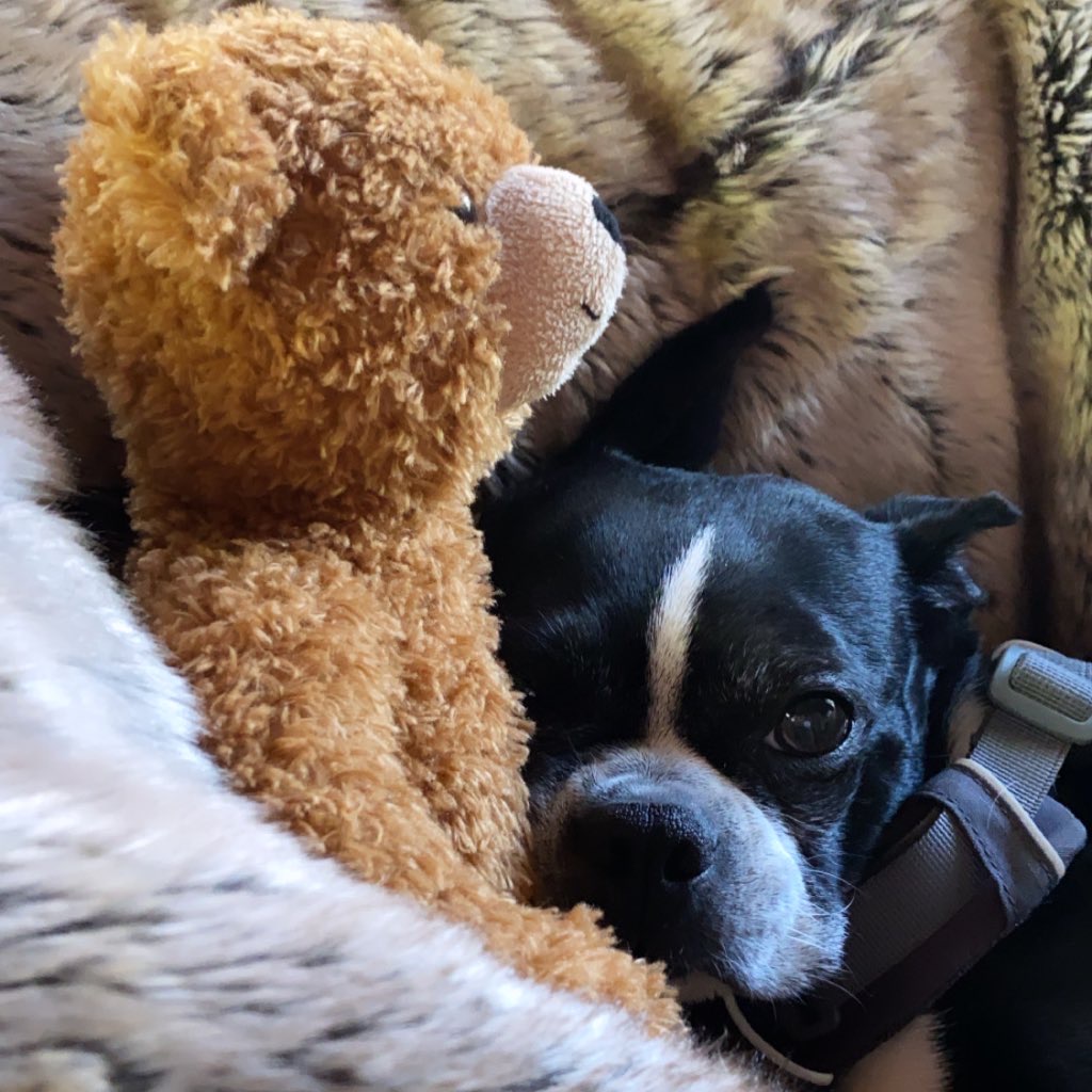 5 Good Things – Kelly Q. Anderson